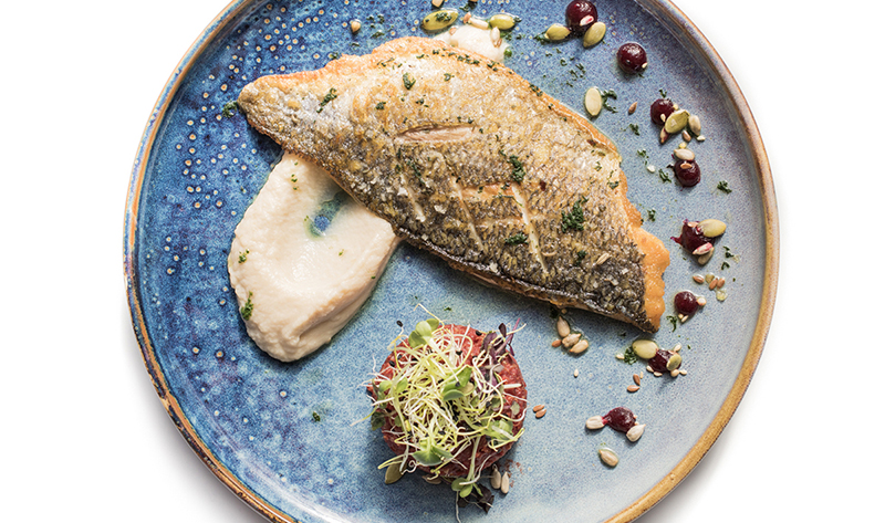 Dorade grillée, quinoa de betteraves et purée de céleri | A Vos Assiettes