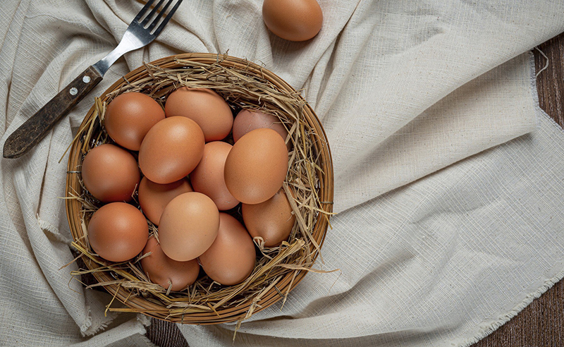 Les œufs, de la poule à l’assiette : un aliment polyvalent et nutritif ...