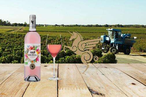 Bordeaux Vineam présente une nouvelle cuvée 100% sans soufre : “Bio ...